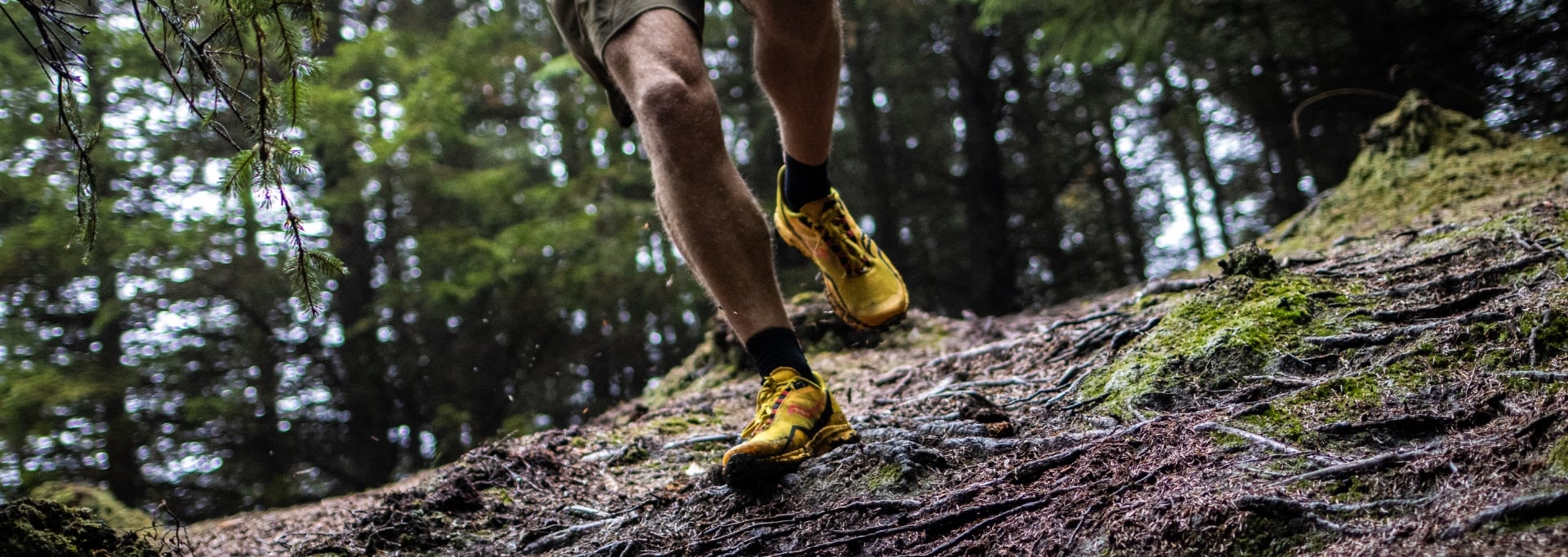 GUIDE: Val av löparskor för trail- och skogslöpning - Hitta trailskor ...